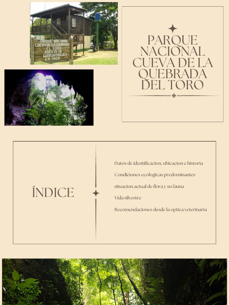 Parque Nacional Cueva de La Quebrada Del Toro | Descargar gratis PDF ...