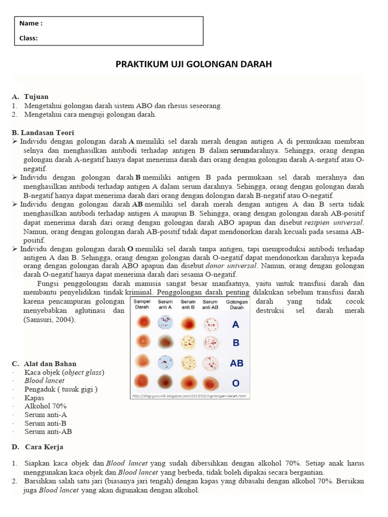 Panduan Praktikum Golongan Darah | PDF | Ilmu Sosial | Sains & Matematika