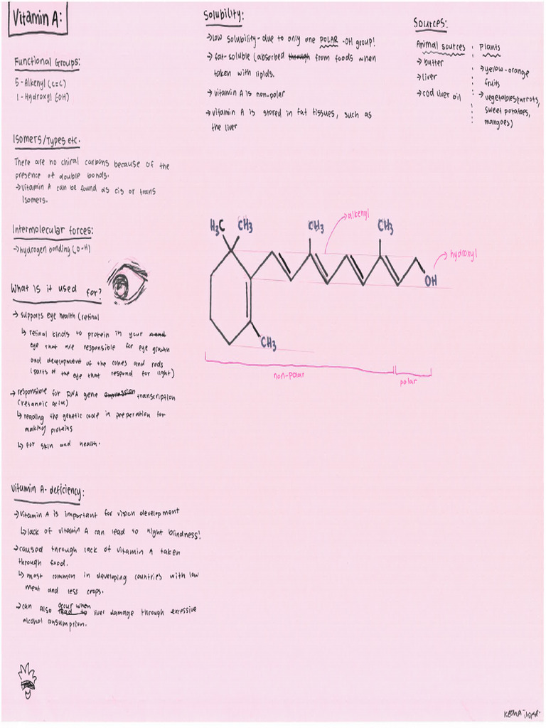 More Vitamin notes BIochem IB | PDF