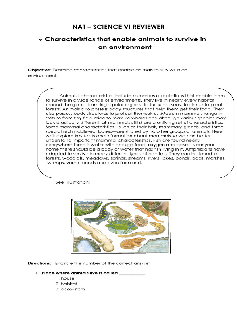 NAT Reviewer in Science Grade 6 | PDF | Heart | Artery