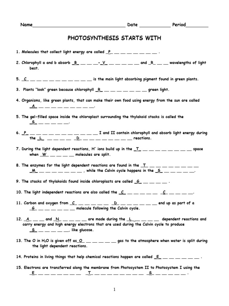 Photosynthesis Review Worksheet | Download Free PDF | Photosynthesis ...