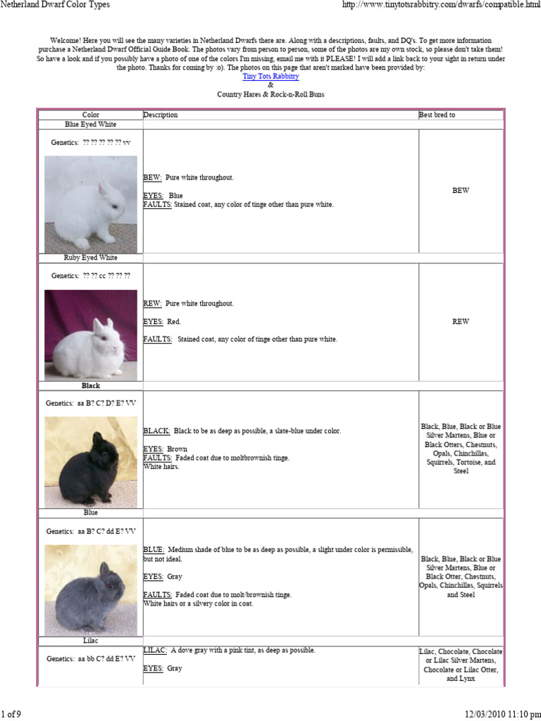 Netherland Dwarf Color Types | PDF | Color | Brown