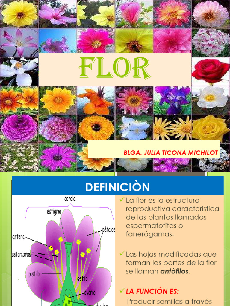 Flor | PDF | Flores | Polen