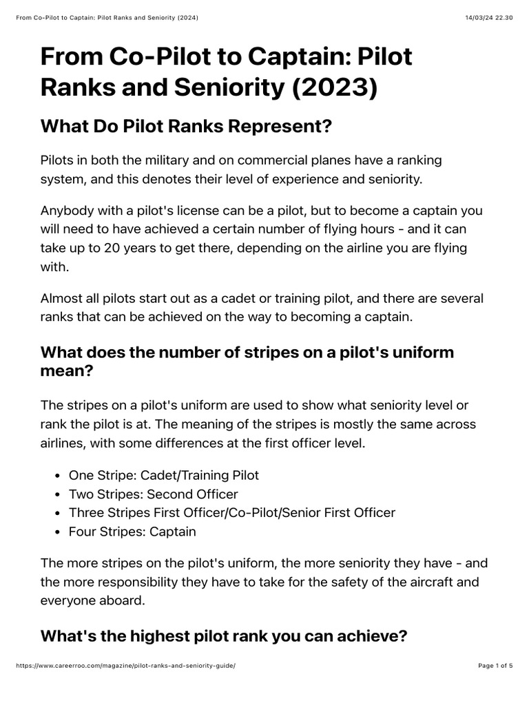 From Co-Pilot To Captain: Pilot Ranks and Seniority (2024) | PDF ...