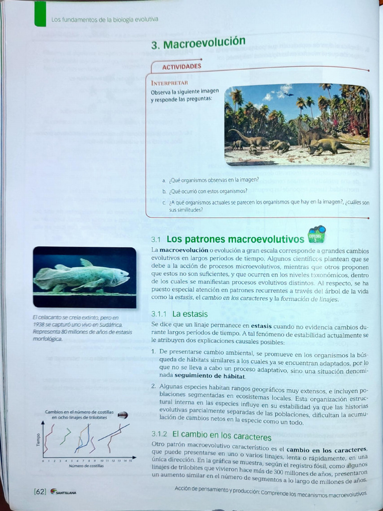 macroevolucion_conceptos | PDF