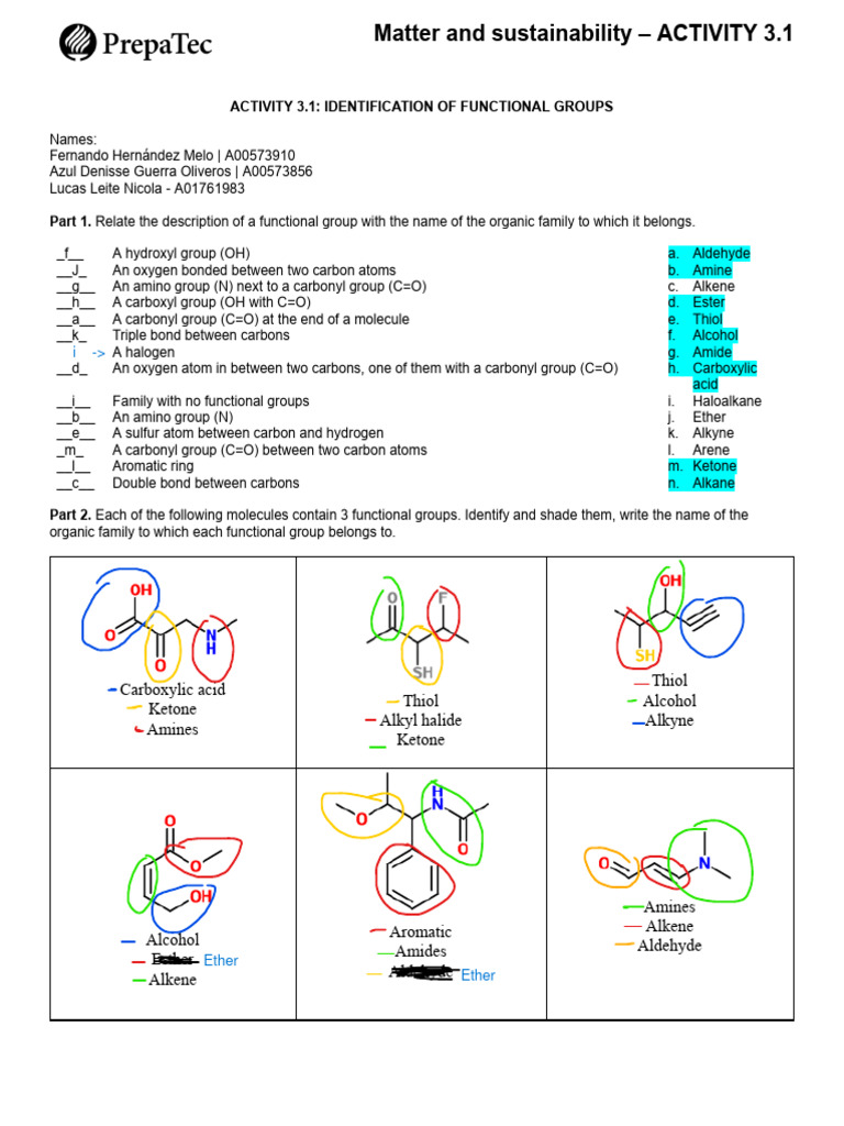 A00573856 Activity 3.1 Functional Gropus-1 | PDF | Functional Group | Alkene