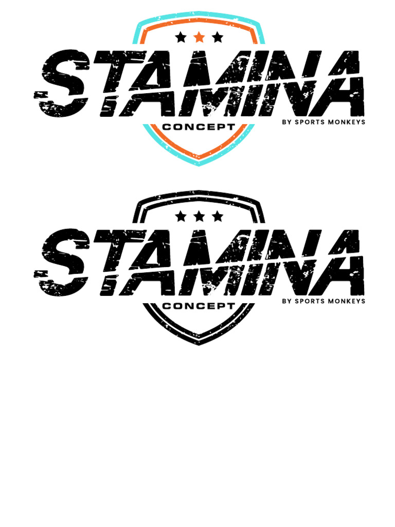 Stamina Logo | PDF