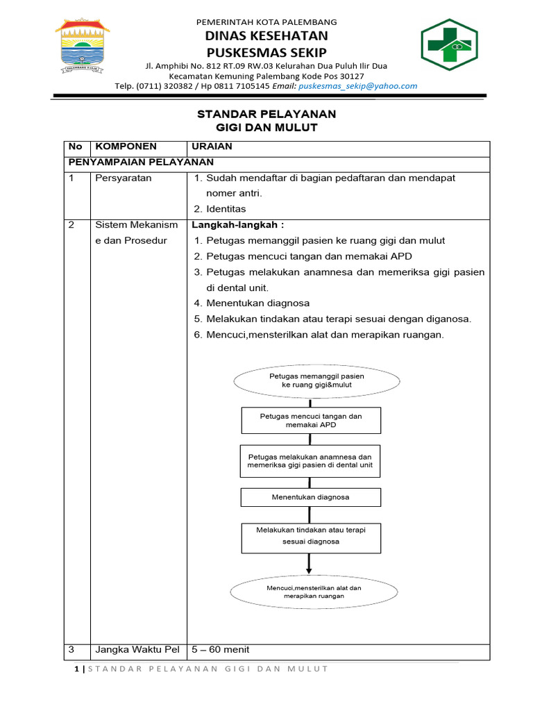 Standar Pelayanan Gigi | PDF