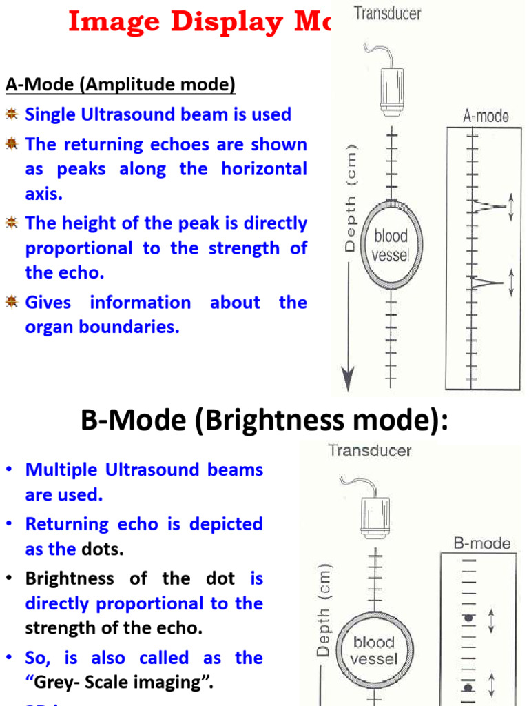 Ultra sound display modes | PDF | Medical Ultrasound | Medical Specialties