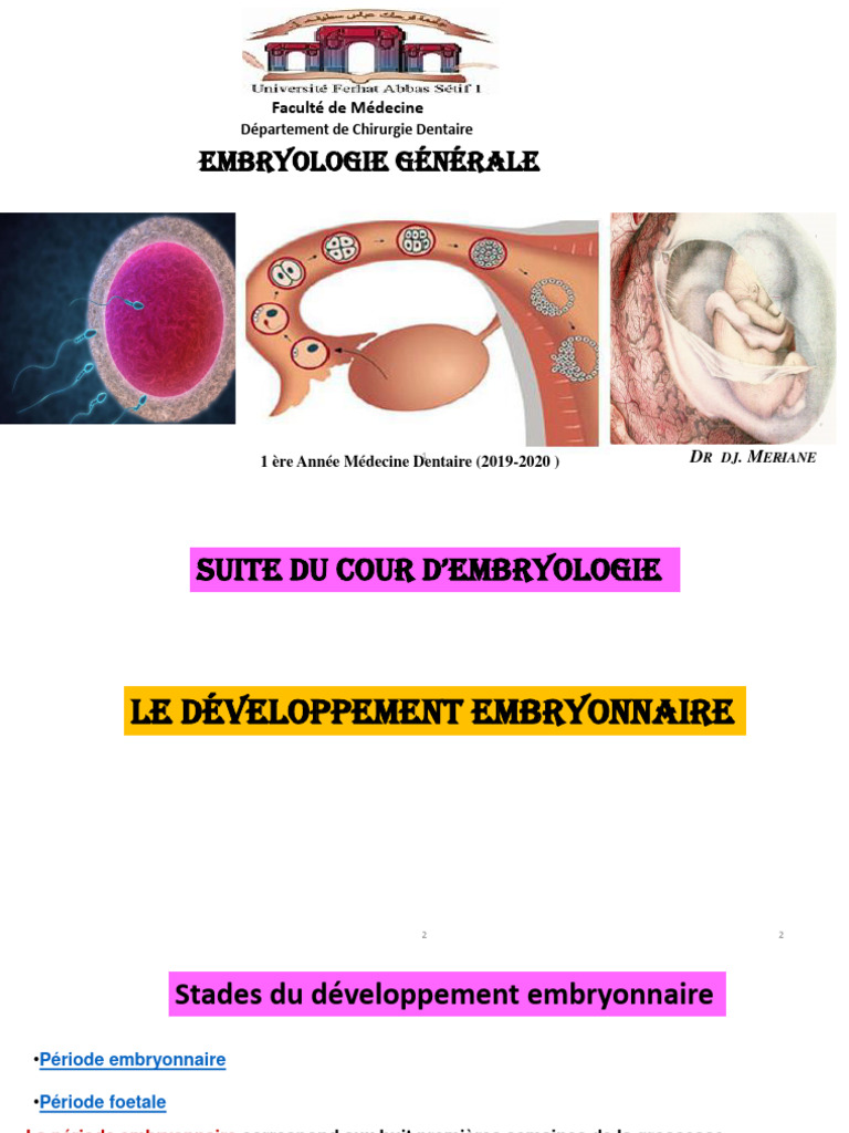 Développement embryonnaire humain | PDF | Embryon | Fécondation