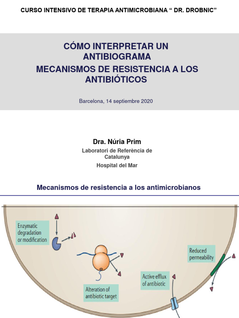 Cómo Interpretar Un Antibiograma. Mecanismos de Resistencia A Los Antibióticos - Dra. N. Prim ...