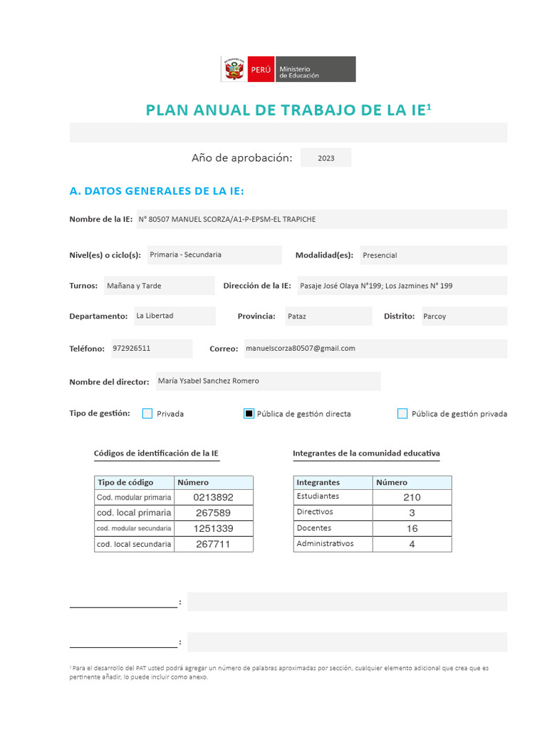 Plantilla PAT-2024 | PDF | Enseñando
