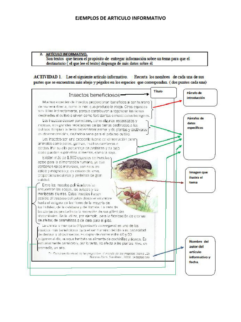 Ejemplo de Articulo Informativo | PDF