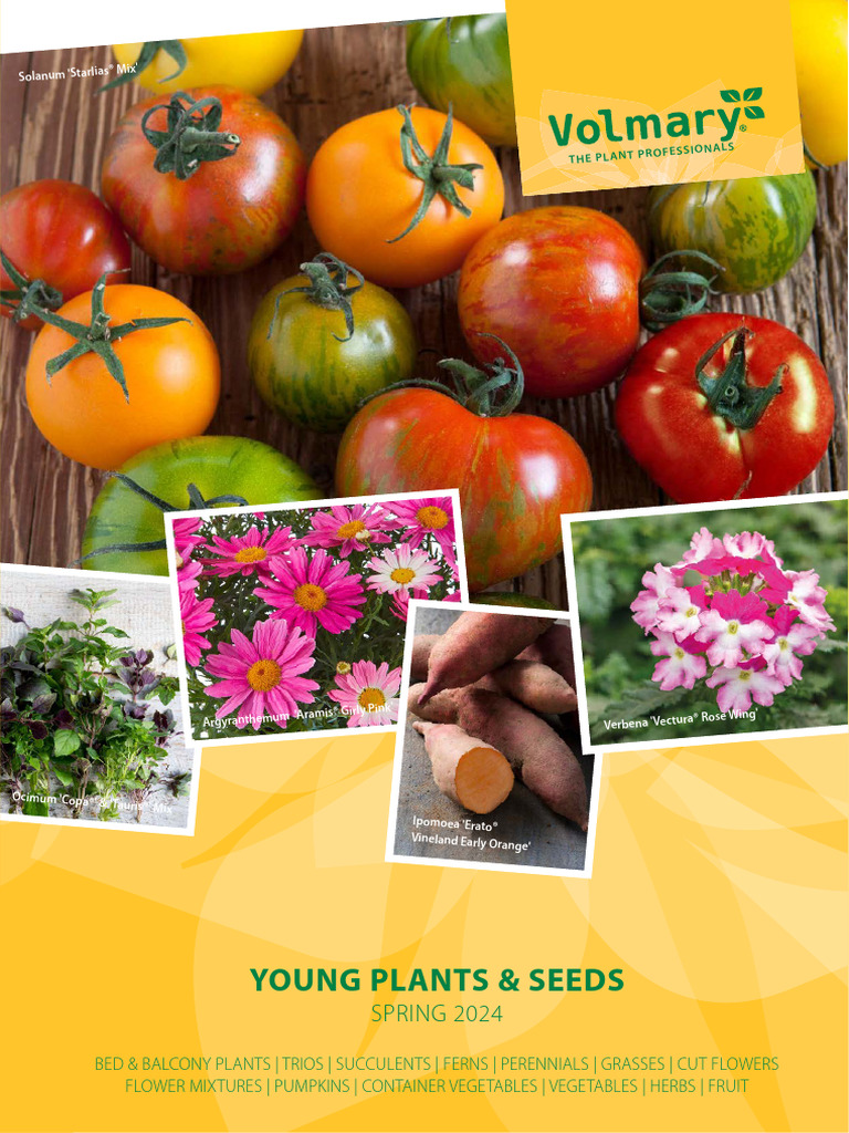 Volmary Catalogue 2024 | PDF | Plants | Brand