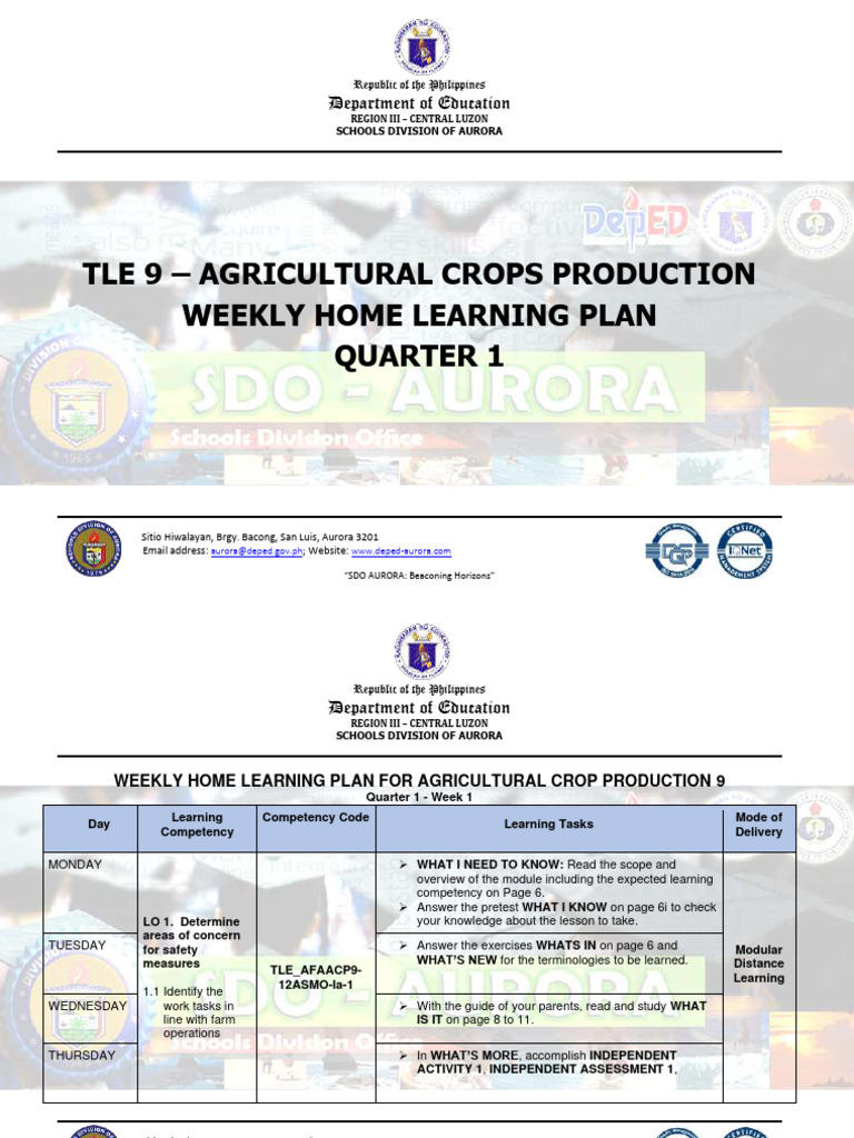 TLE 9 Agricultural Crop Production Plan | PDF | Rubric (Academic)