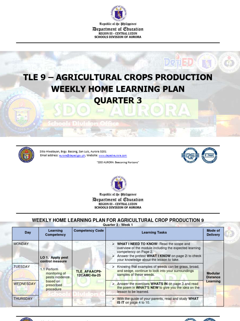 Weekly Learning Plan: Agri Crop Prod 9 | PDF | Learning