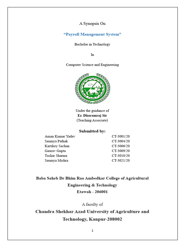 Payroll | PDF | Information Technology | Computing