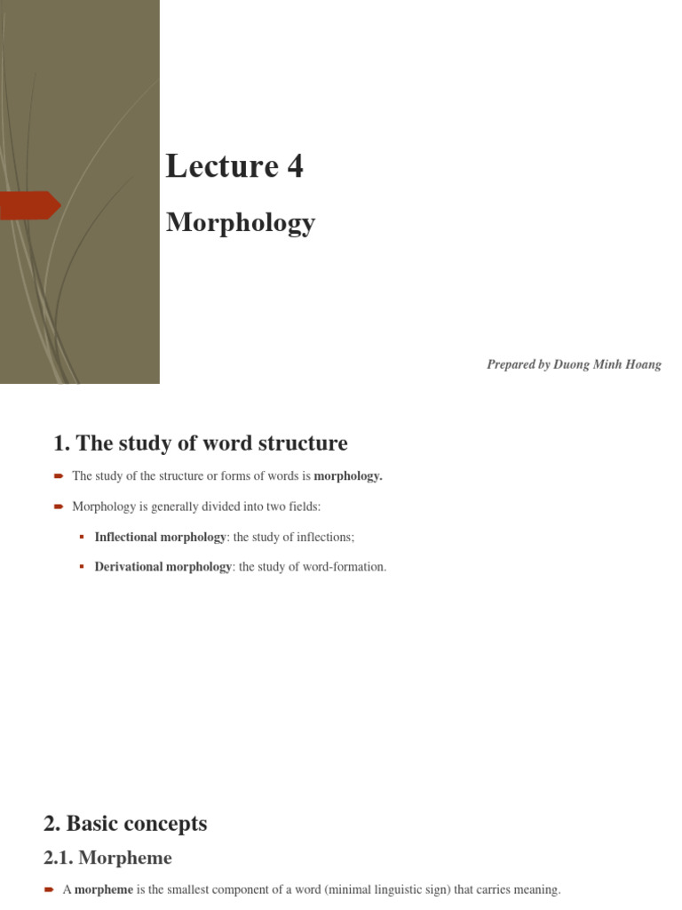 Lecture 4 - Morphology | PDF | Morphology (Linguistics) | Word