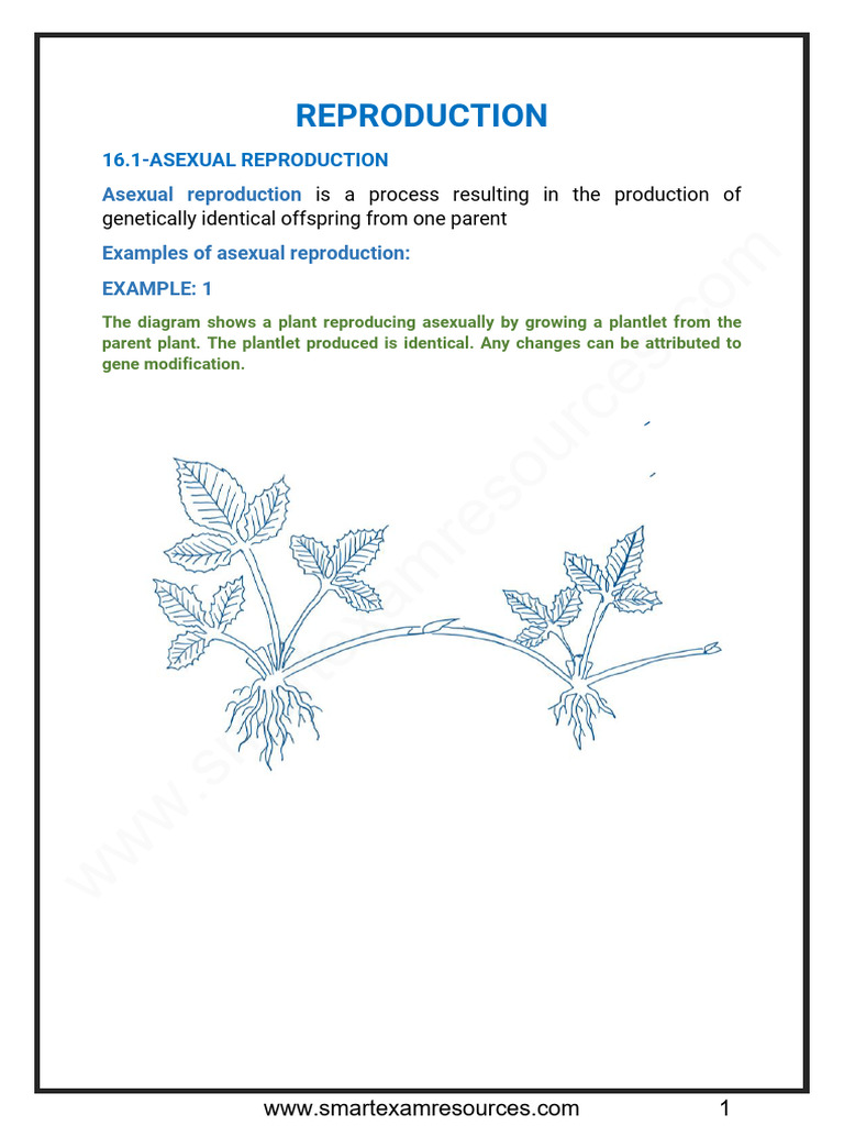 Asexual and Sexual Reproduction Explained | PDF | Flowers | Pollination
