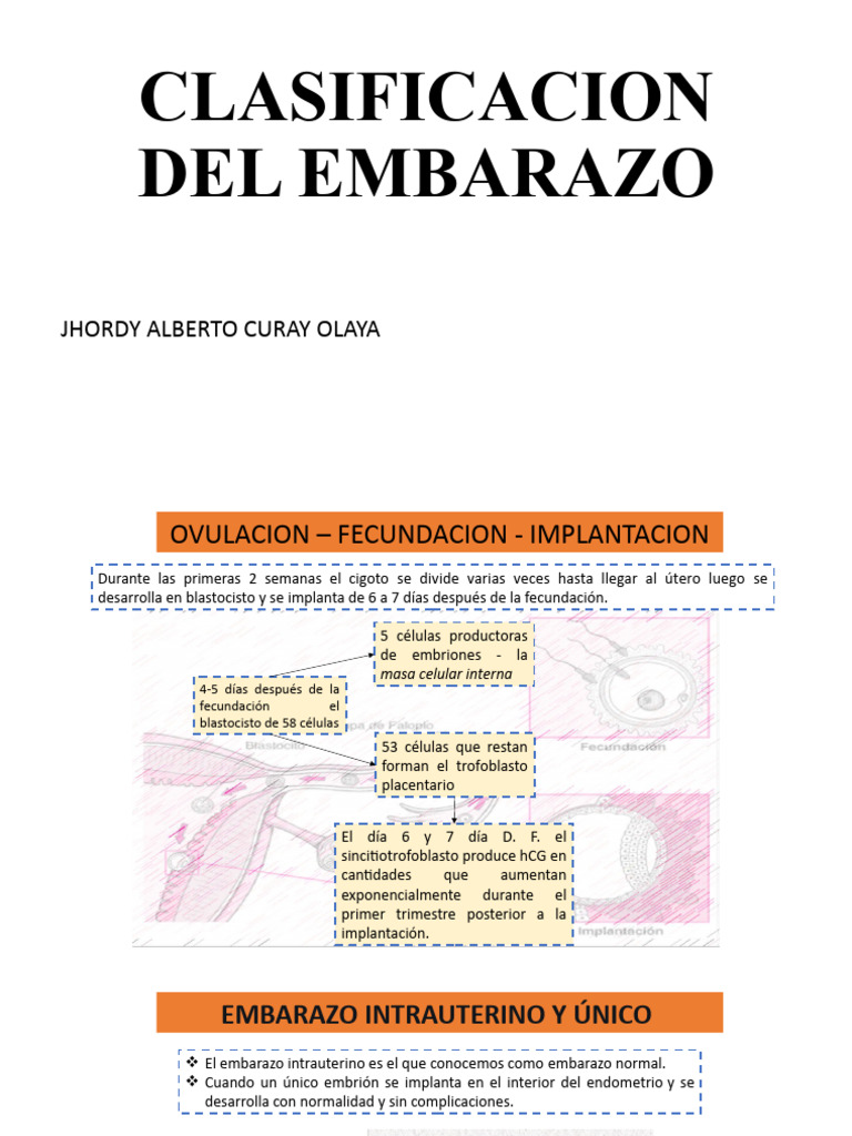 Jhordy Curay - Clasificacion Del Embarazo y Historia Clinica Perinatal ...