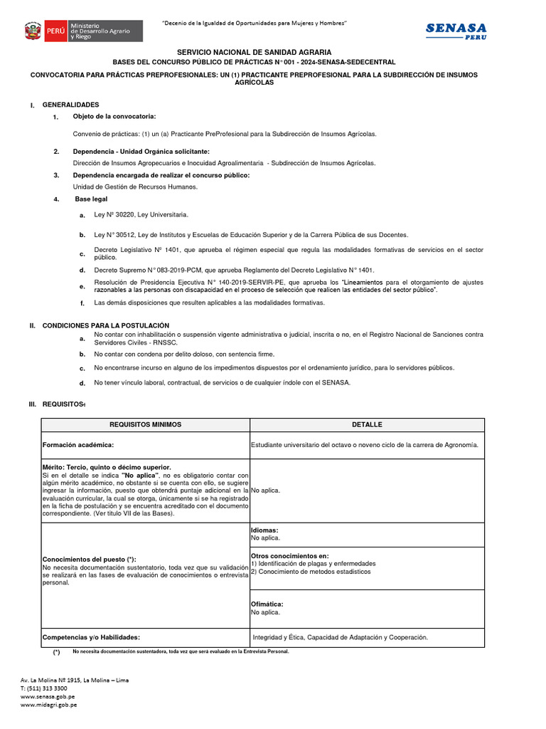 Bases 001 Practicante Preprofesional Diaia | PDF | Documento de ...
