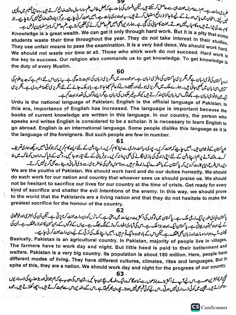 Translation paragraphs Exercises | PDF