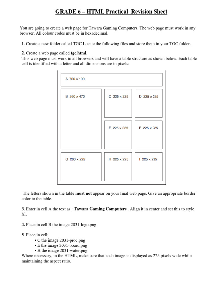 Grade 6 Practice Sheet | PDF