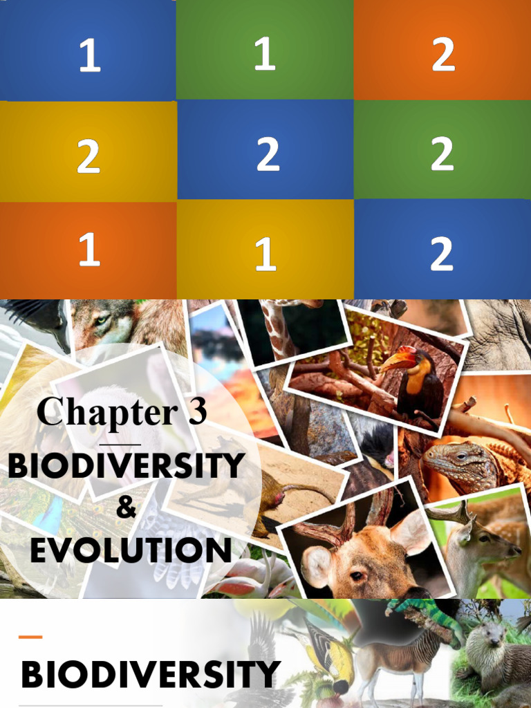 Biodiversity and Evolution | PDF | Biodiversity | Extinction