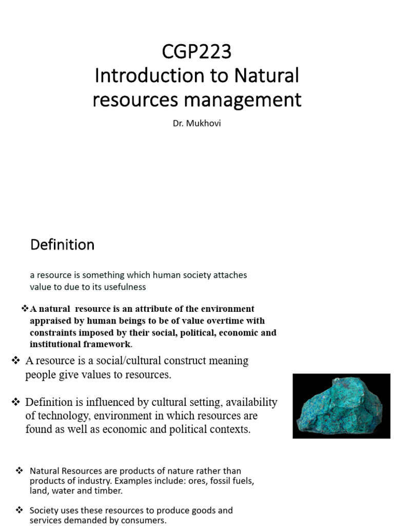 Types of Natural Resources | PDF | Resource | Renewable Energy