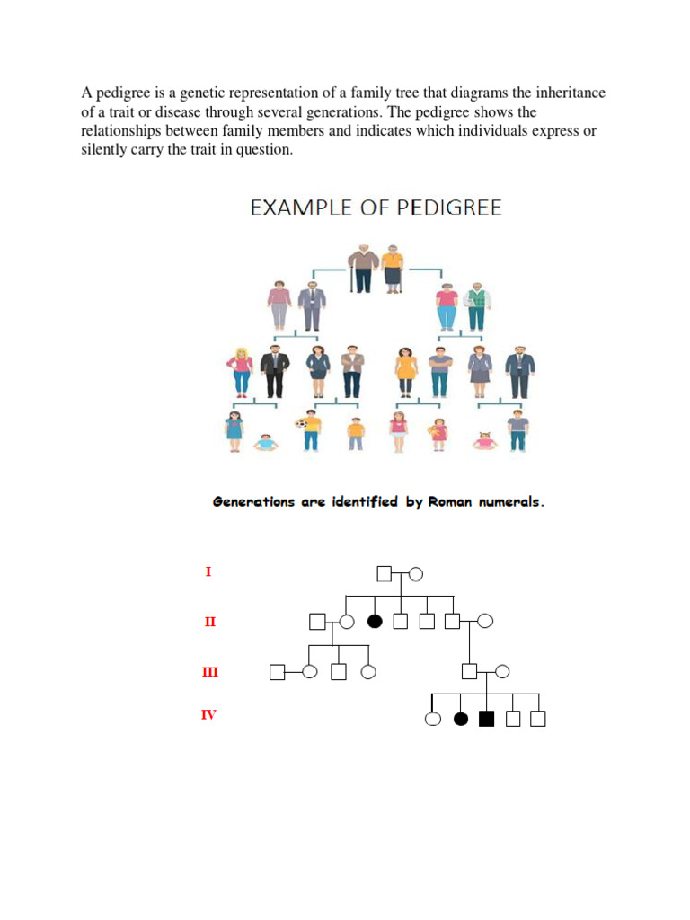 2 Basic Pedigree Symbols GENETICS | PDF | Social Science