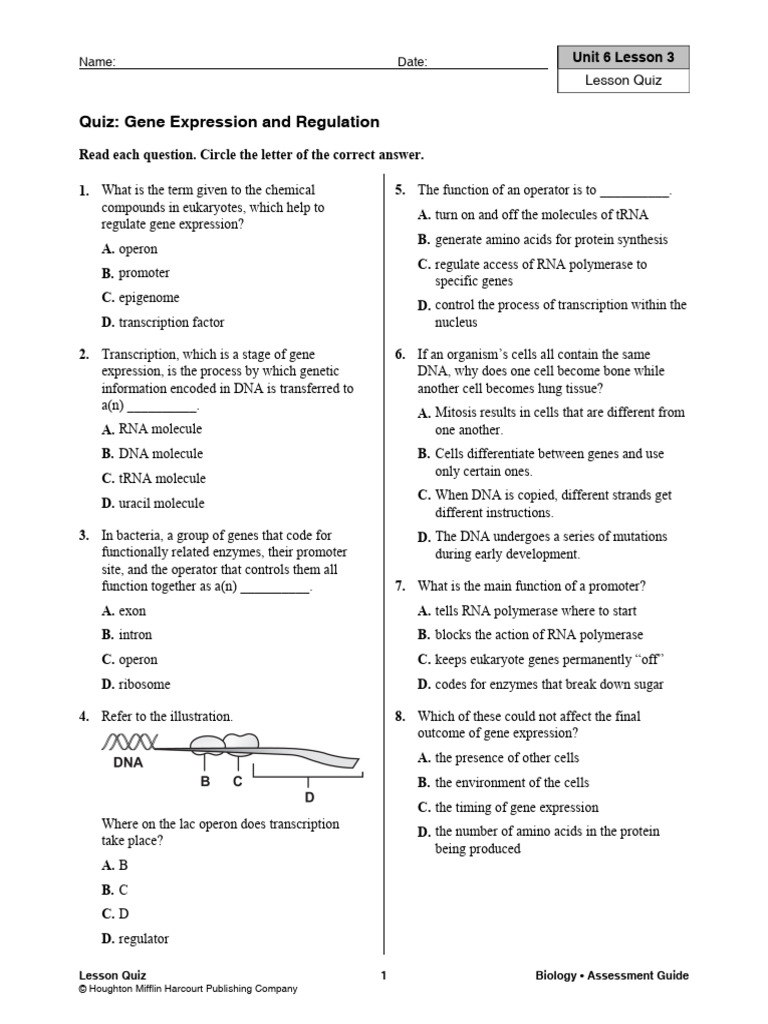 Gene Expression Quiz: Focus on Operons | PDF | Gene | Rna