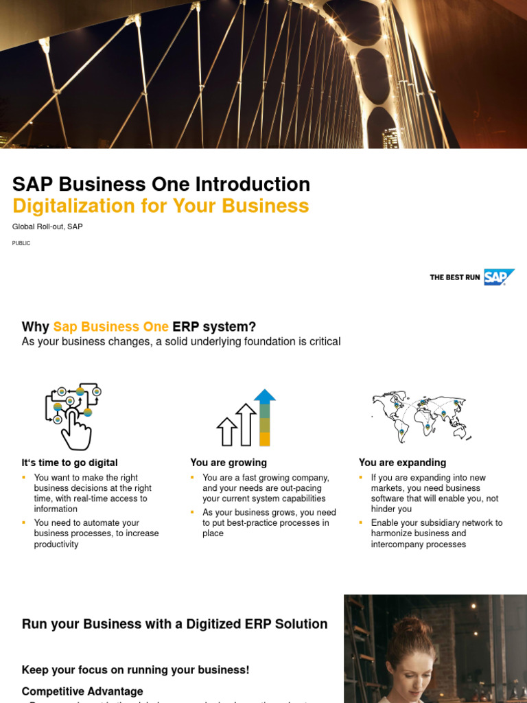 ERP SAP Business One | PDF | Enterprise Resource Planning | Analytics