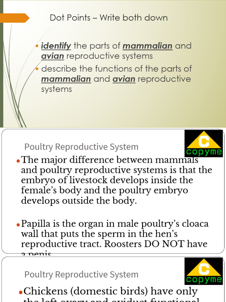 Animal Production | PDF | Reproductive System | Ovary