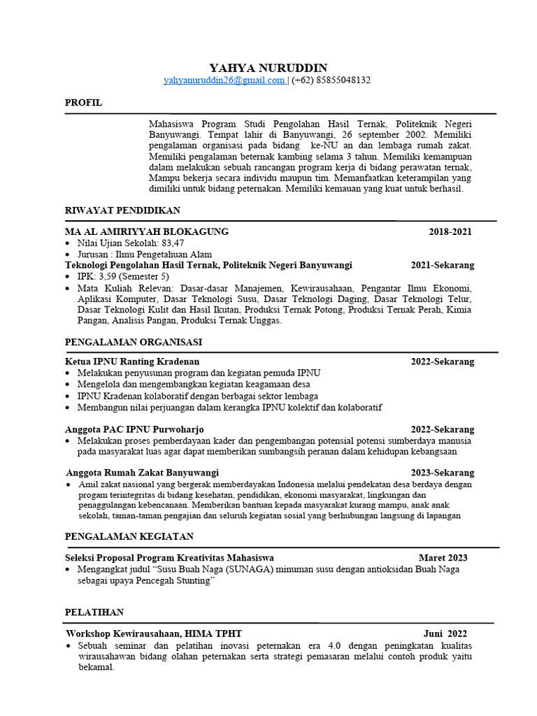 CV Puput Melati | PDF