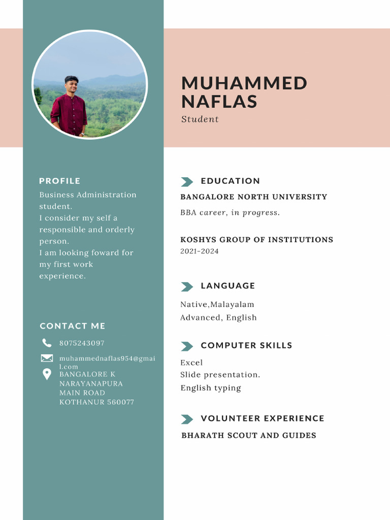 CV Muhammed Naflas | PDF