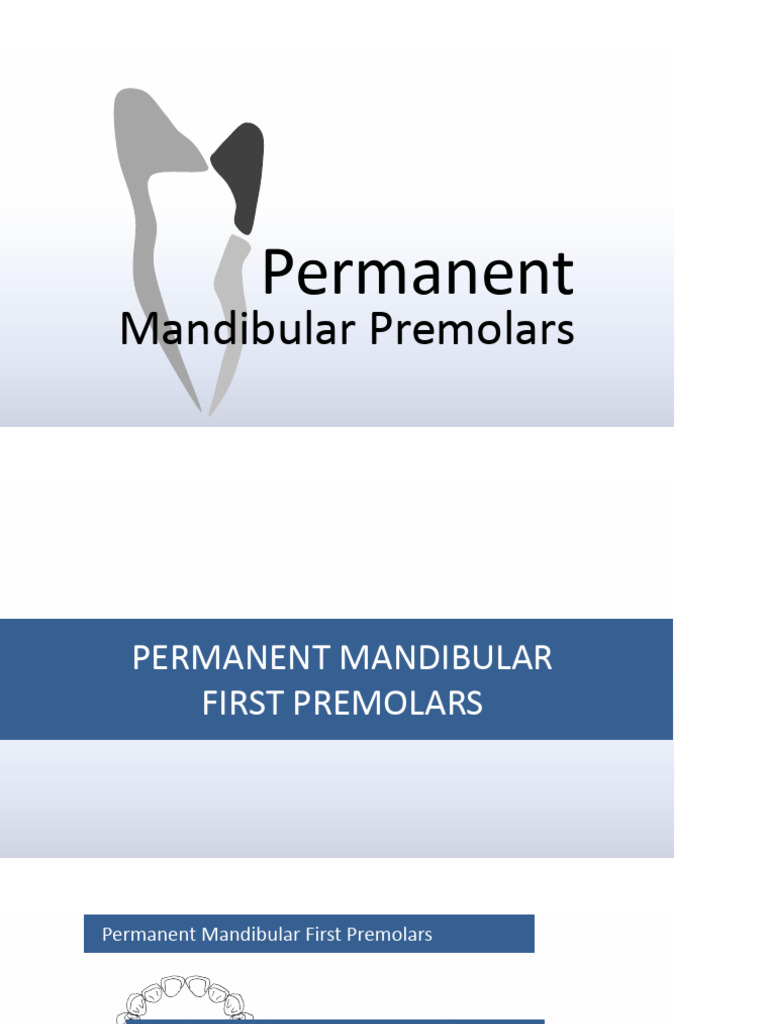 Permanent Mandibular Premolars | PDF | Dental Anatomy | Tooth