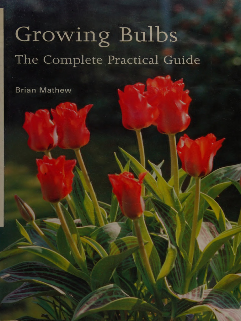 Growing Bulbs - The Complete Practical Guide - Mathew, Brian - 1997 ...