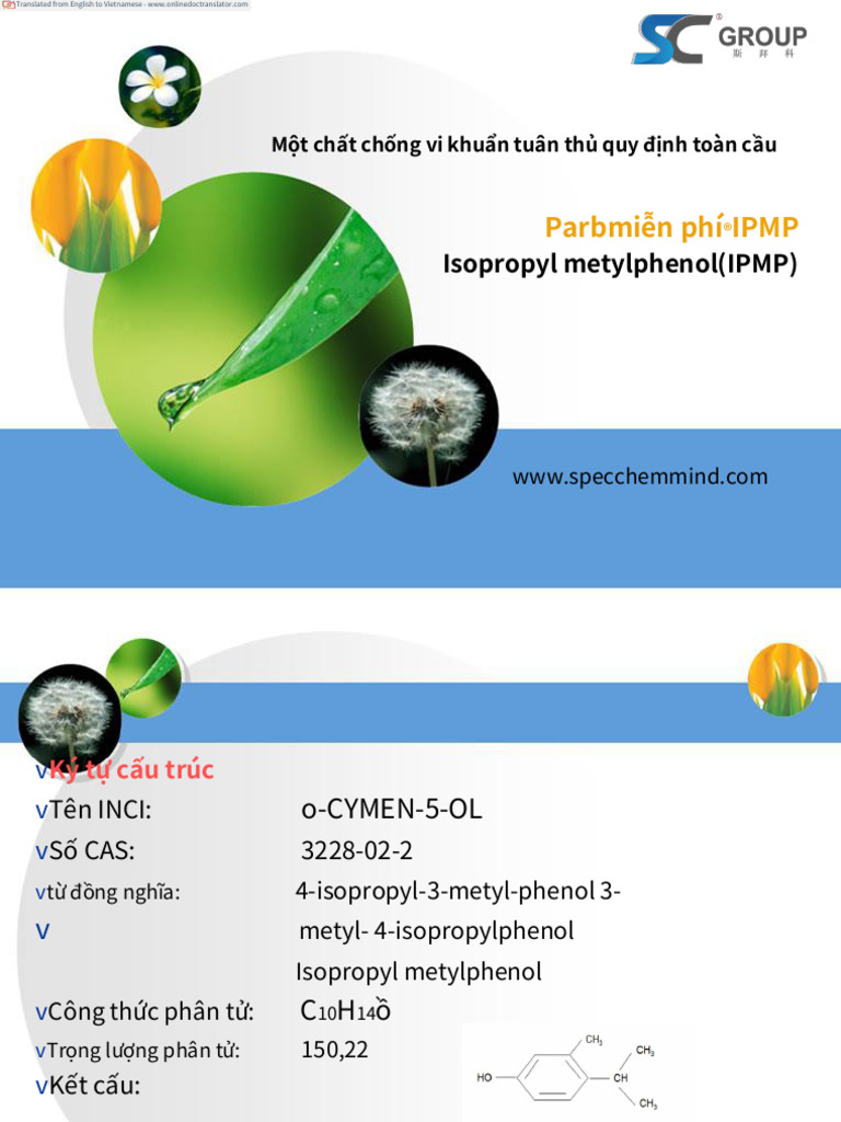 PPT-Parbfree IPMP (Isopropyl Methylphenol (IPMP) en - En.vi | PDF