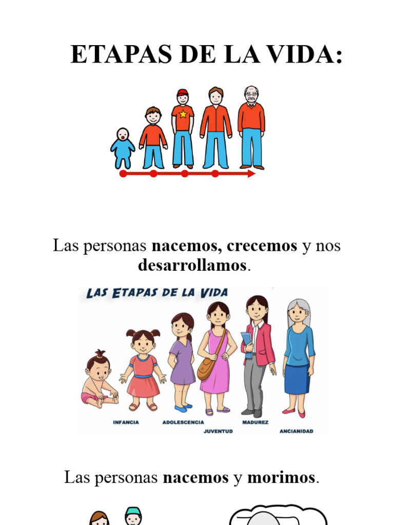 Etapas de la Vida Humana | PDF