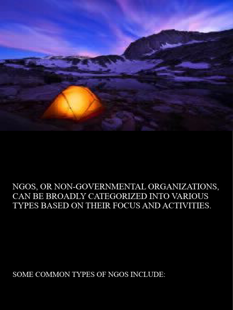 Types and Features of NGOs | PDF | Non Governmental Organization ...