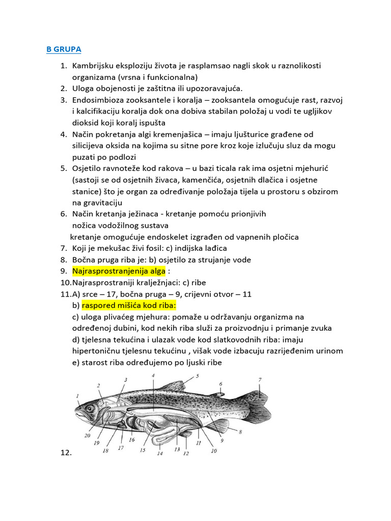 Biologija 3. Ispit | PDF