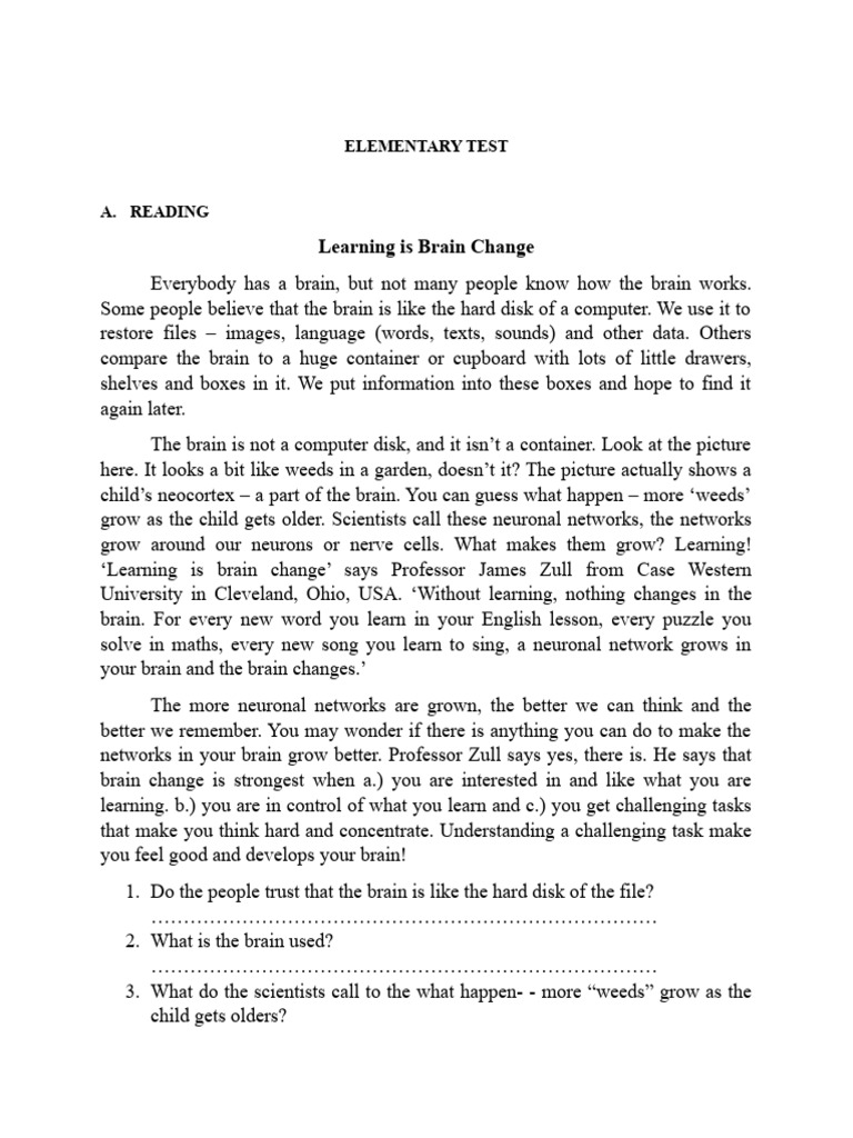 Elementary Level Test English | PDF | Brain | Learning