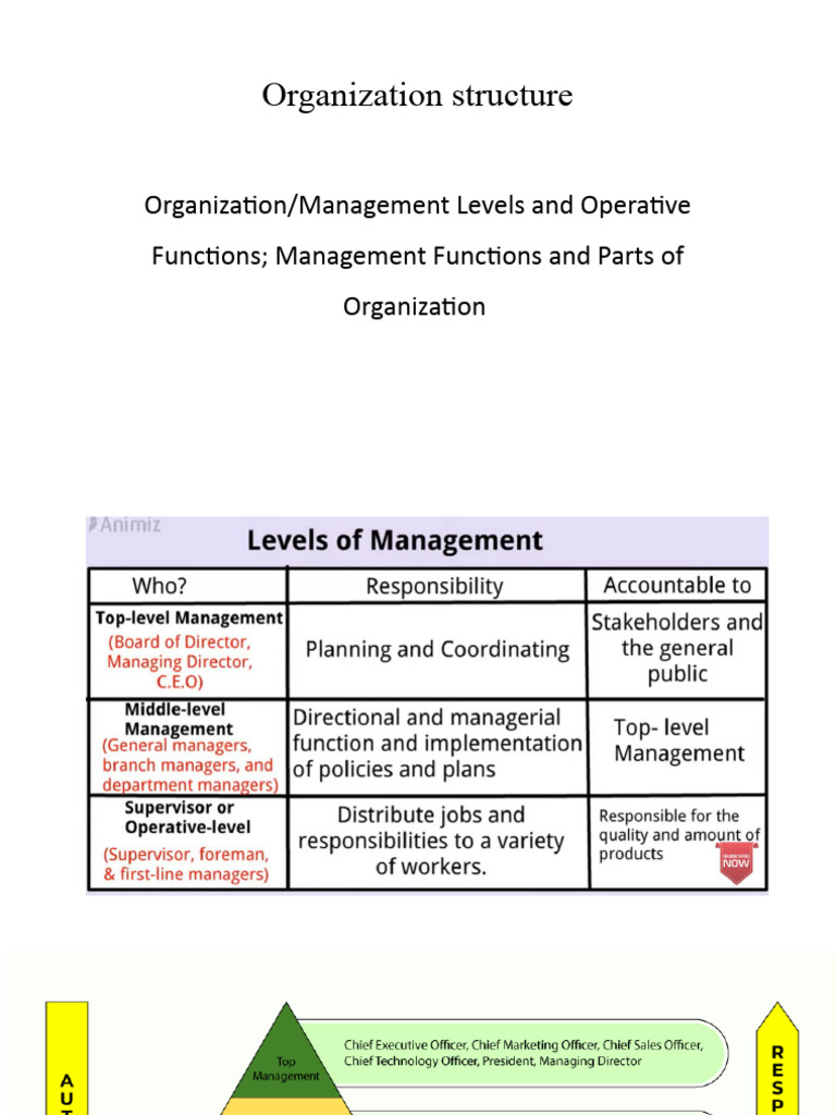 02 Organization Structure | PDF | Organizational Structure | Leadership