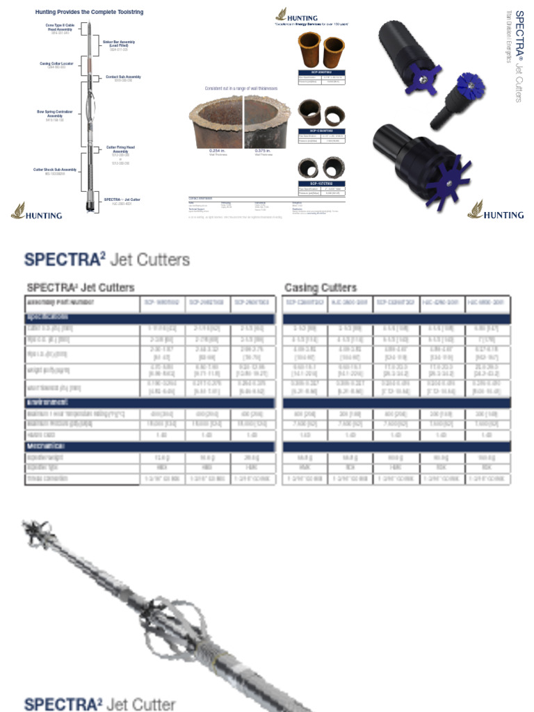 SPECTRA Family Tri-Fold 2019.7.18 | PDF