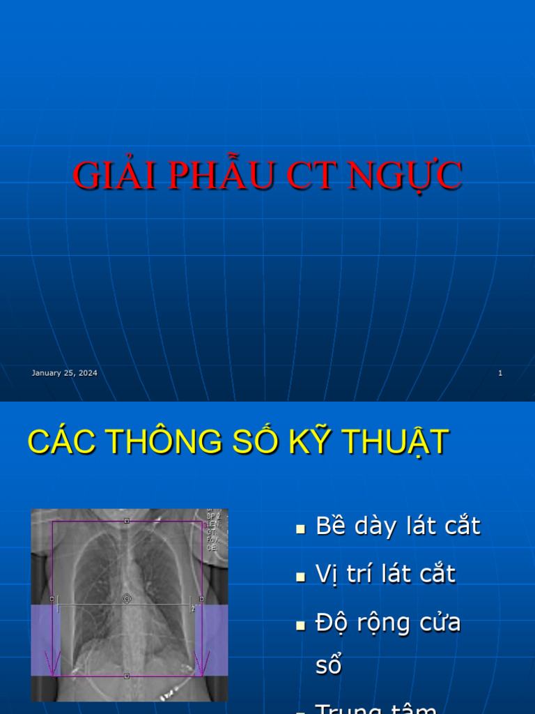 Giai Phau CT Nguc | PDF