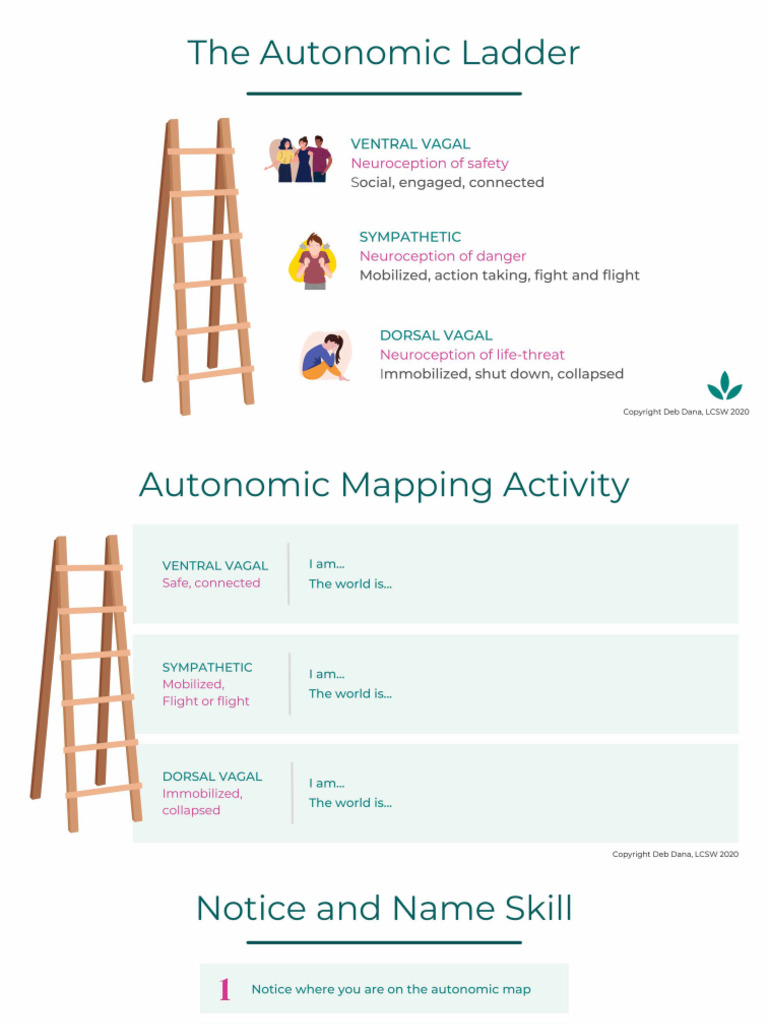 Deb Danas Autonomic Ladder Mapping Activity | PDF