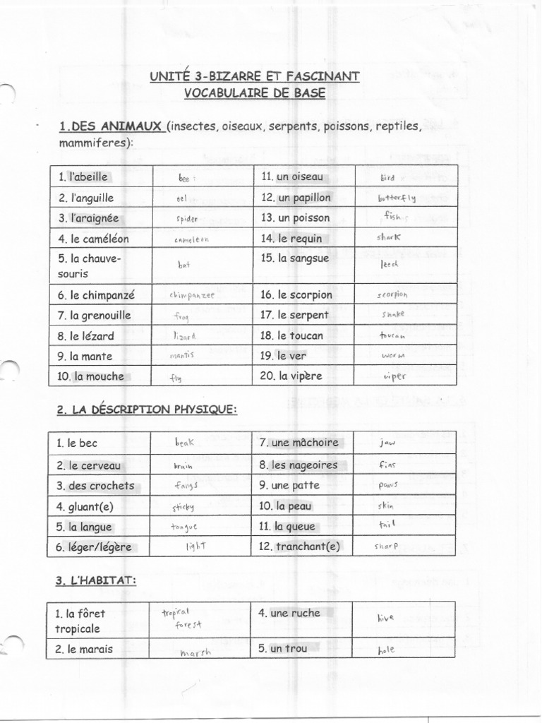 French Vocab Test | PDF