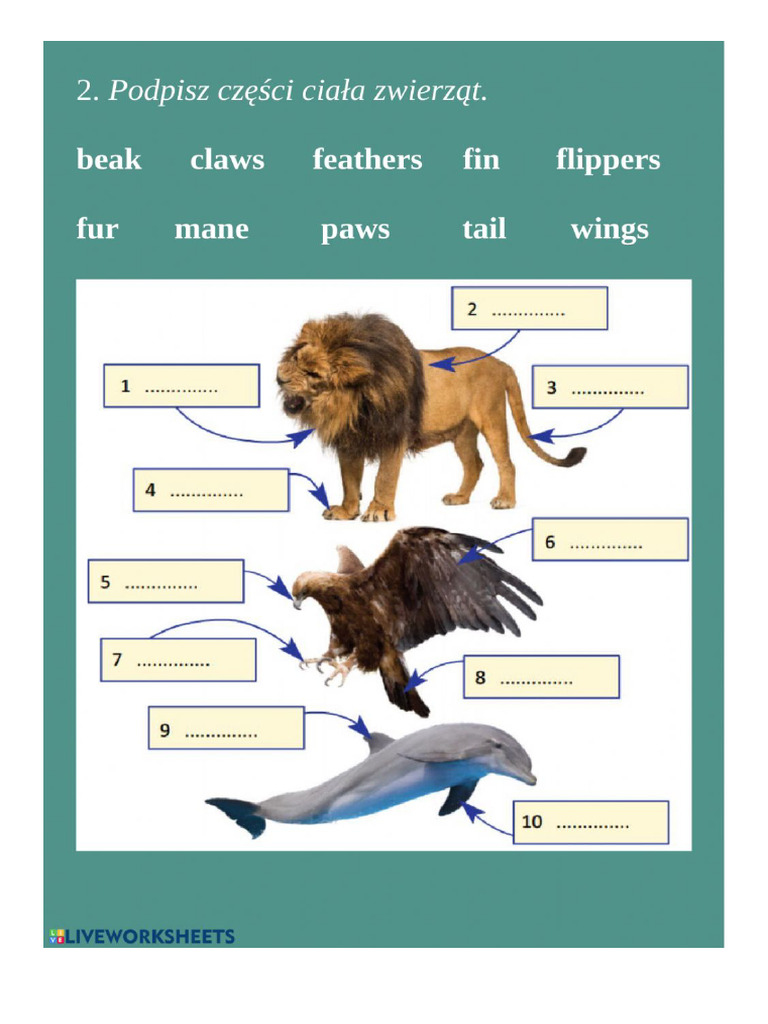 Body Parts of Animals | PDF