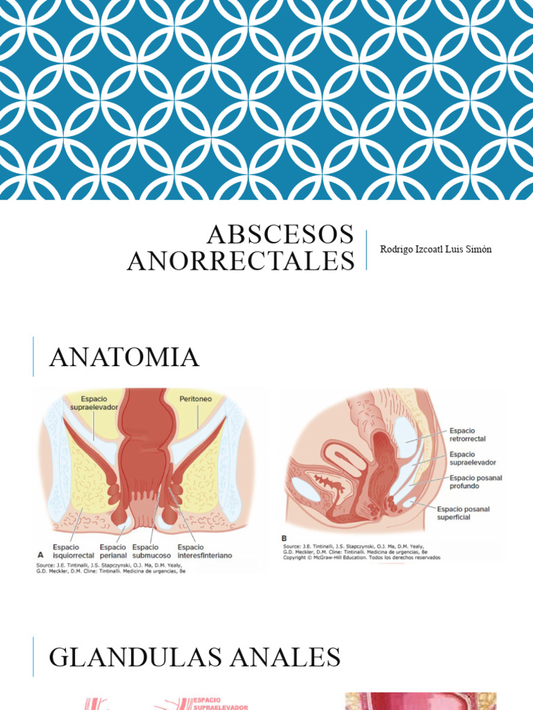 Abscesos Anorrectales | PDF