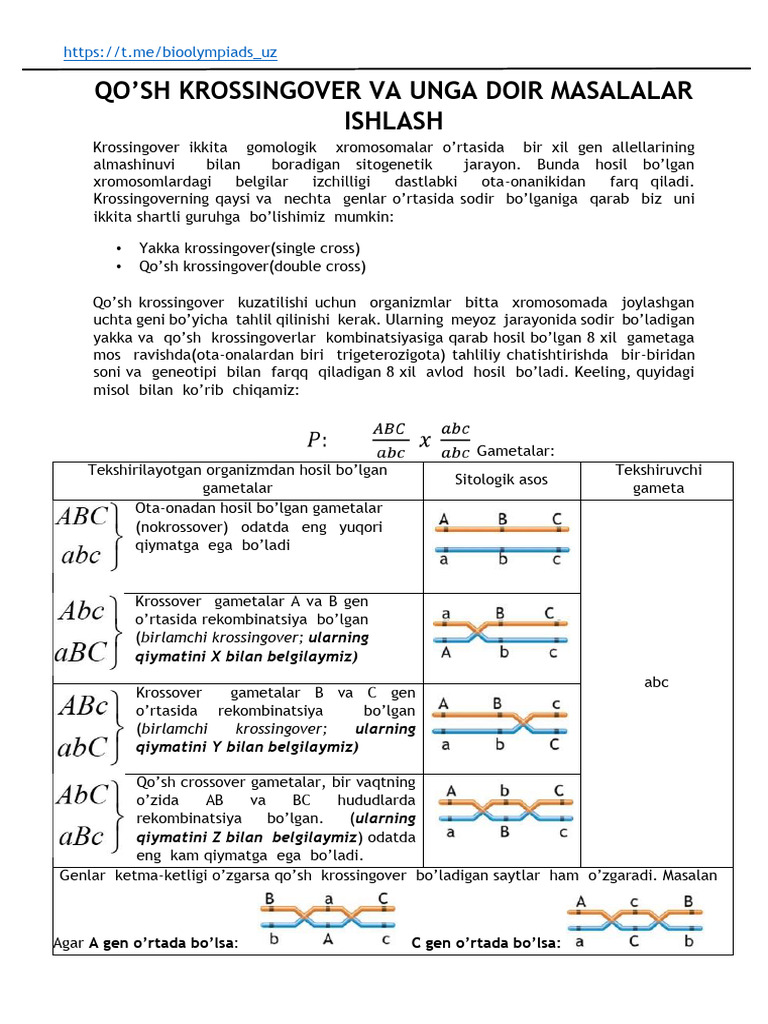 Qo'Sh Krossingover Va Unga Doir Masalalar Ishlash: Qiymatini X Bilan Belgilaymiz) | PDF